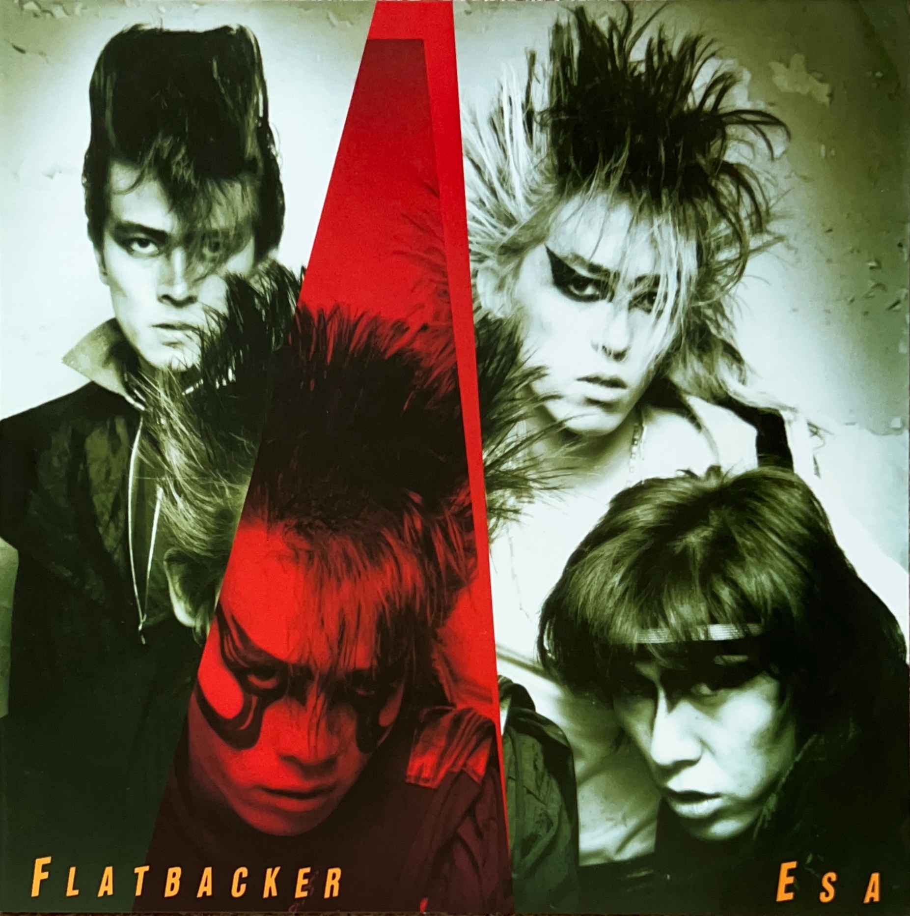 餌（ESA）[LP] - FLATBACKER - bar chiba Music Store